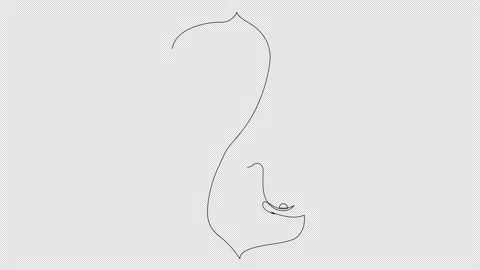 Animated self drawing of continuous line... | Stock Video | Pond5
