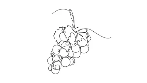 Animated self drawing of continuous line... | Stock Video | Pond5