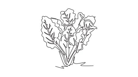 Animated self drawing of continuous line... | Stock Video | Pond5