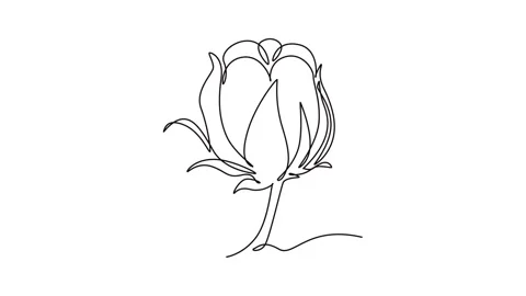 Drawing Sofr Stock Videos – Royalty-Free HD & 4K Videos | Pond5