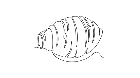 Draw Fo Stock Videos – Royalty-Free HD & 4K Videos