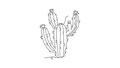 Beautiful Desert Drawing Stock Videos – Royalty-Free HD & 4K Videos
