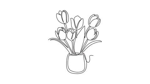 Vase Drawing Stock Videos – Royalty-Free HD & 4K Videos | Pond5