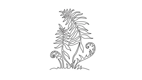 Self Fren Stock Videos – Royalty-Free HD & 4K Videos | Pond5