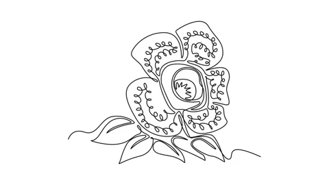 Fresh Corpse Stock Videos – Royalty-Free HD & 4K Videos