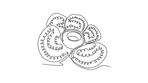 Fresh Corpse Stock Videos – Royalty-Free HD & 4K Videos