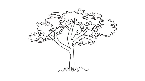 Wall Self Stock Videos – Royalty-Free HD & 4K Videos | Pond5