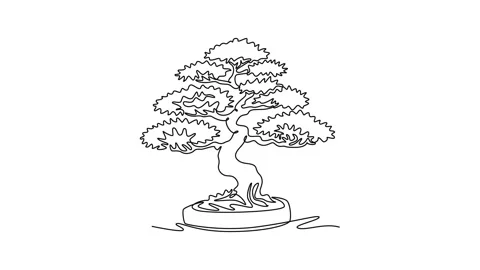 Old S Drawing Stock Videos – Royalty-Free HD & 4K Videos