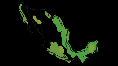 Animated self-drawing Mexico map in line... | Stock Video | Pond5