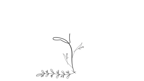 Animated self drawing of single continuo... | Stock Video | Pond5