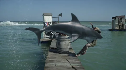 Animated Shark Stock Video Footage | Royalty Free Animated Shark Videos ...