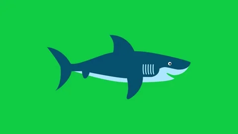 Animated shark swimming on a green scree... | Stock Video | Pond5