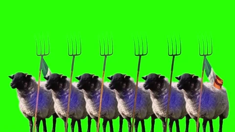 Animated Sheep Stock Footage ~ Royalty Free Stock Videos | Pond5