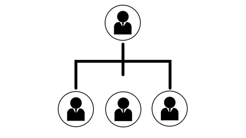 Animated simple organizational chart wit... | Stock Video | Pond5