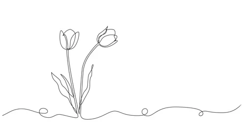 Tulips Animated Stock Video Footage | Royalty Free Tulips Animated ...