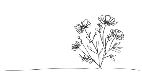 animated single line drawing of wild flo... | Stock Video | Pond5