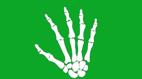 Skeleton Hand Alpha Stock Videos – Royalty-Free HD & 4K Videos | Page 2
