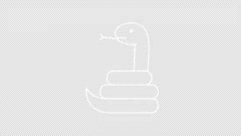 White Snake Clips Stock Videos – Royalty-Free HD & 4K Videos