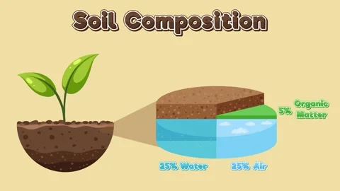 Animated Soil Composition Explainer Vide... | Stock Video | Pond5