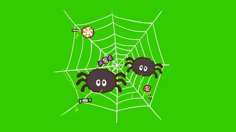 Animated Spider and Web - Green Screen | Stock Video | Pond5