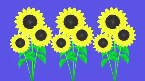 Animated sunflowers on a blue background... | Stock Video | Pond5