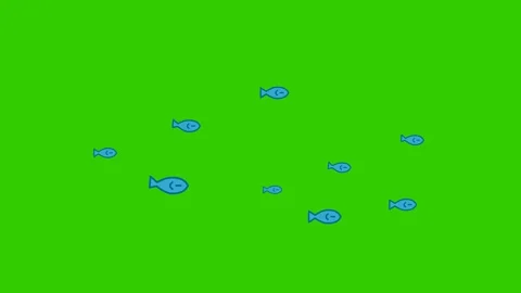 Animated Swimming Fish School | Stock Video | Pond5