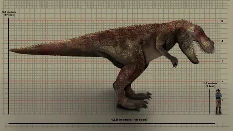 Animated T-Rex Dinosaur Against Height C... | Stock Video | Pond5