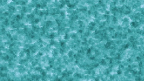 Water Caustics Texture Stock Videos – Royalty-Free HD & 4K Videos