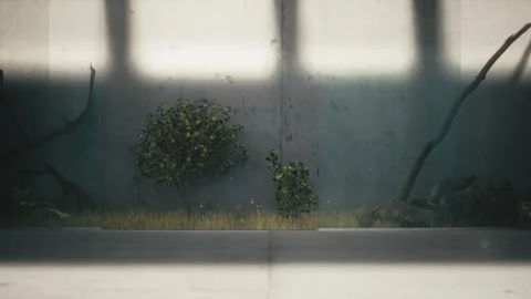 Animated Tree Growing Stock Video Footage | Royalty Free Animated Tree ...