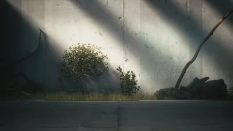 Animated Tree Growing Stock Video Footage | Royalty Free Animated Tree ...