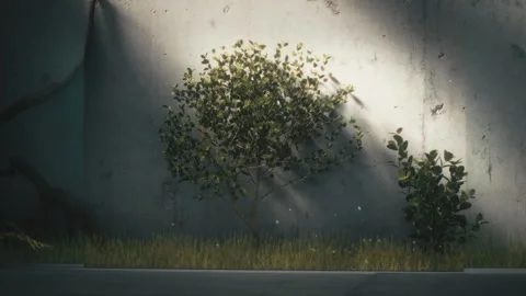 Animated Tree Growing Stock Video Footage | Royalty Free Animated Tree ...