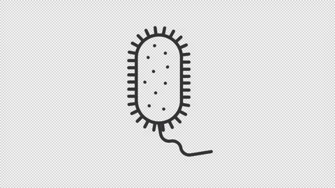 Vibrio Stock Video Footage | Royalty Free Vibrio Videos | Pond5