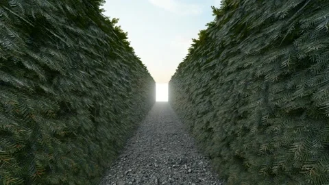 Animated video of running in a labyrinth... | Stock Video | Pond5