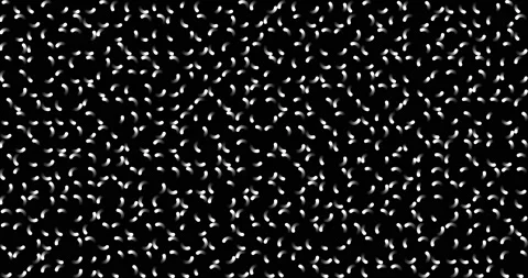Animated view of dense white dots moving... | Stock Video | Pond5