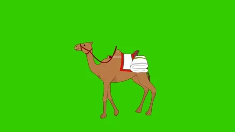 Camel Animated Stock Video Footage | Royalty Free Camel Animated Videos ...