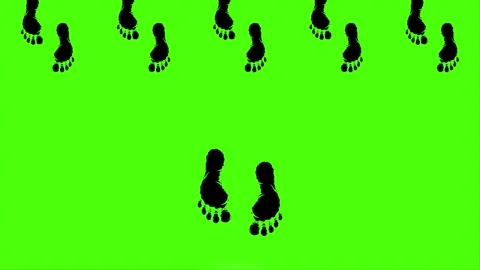 Footprint Blood Stock Videos – Royalty-Free HD & 4K Videos | Pond5