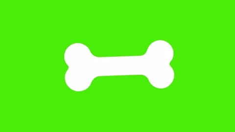 Animated white bone isolated on green sc... | Stock Video | Pond5