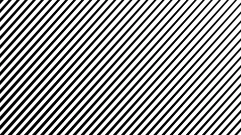 Animated white lines on black background... | Stock Video | Pond5