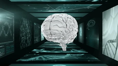 Animation of 3D brain rotating in a hall... | Stock Video | Pond5