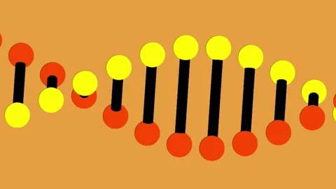 Animation of 3d dna strand on orange bac... | Stock Video | Pond5