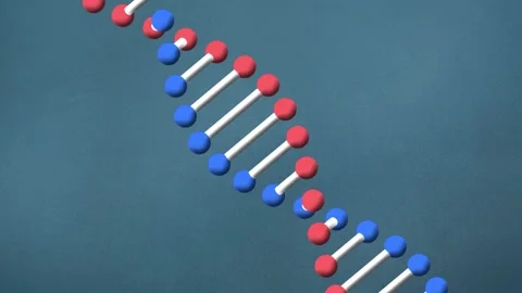 Animation of 3d dna strand rotating over... | Stock Video | Pond5