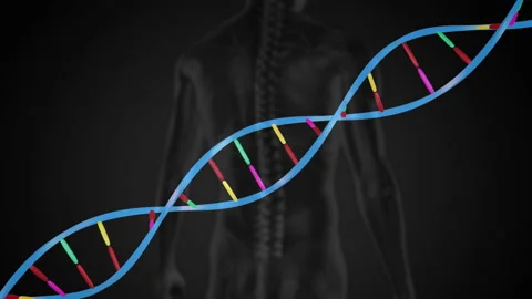 Animation of 3d dna strand spinning over... | Stock Video | Pond5