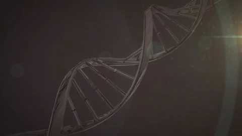 Animation of a 3d double helix DNA stran... | Stock Video | Pond5