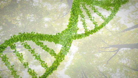 Animation of 3d green dna strand spinnin... | Stock Video | Pond5