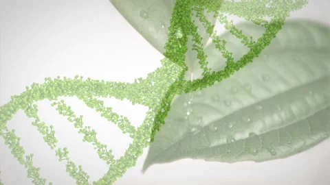 Strand Video Stock Videos – Royalty-Free HD & 4K Videos