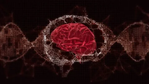 Animation of 3d human brain and dna stra... | Stock Video | Pond5