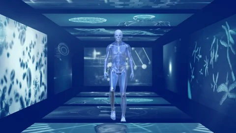 3D Hallway Model Stock Videos – Royalty-Free HD & 4K Videos | Pond5