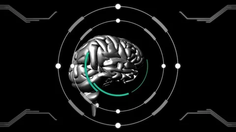 Animation of 3d metallic human brain rot... | Stock Video | Pond5