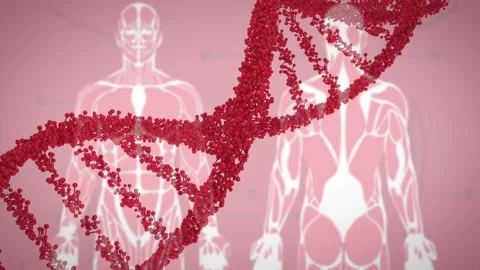 Animation of 3d red dna strand spinning ... | Stock Video | Pond5