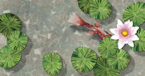 Animation 4K loop video of koi fish swim... | Stock Video | Pond5